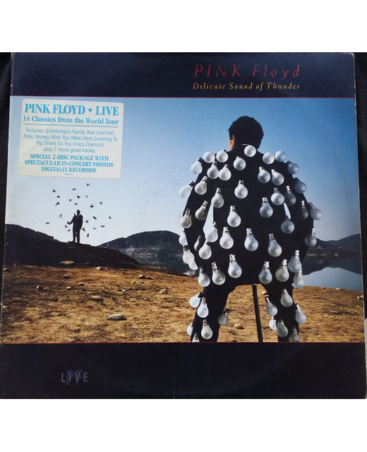 Pink Floyd Delicate Sound Of Thunder Collectors Corner Tron Records Huge Range Of