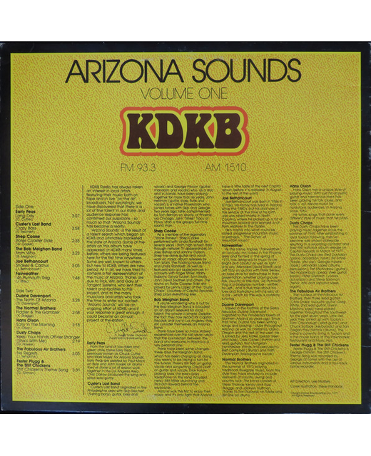 Various - Arizona Sounds Vol 1 - Tron Records | Vinyl LP - VARIOUS ROCK ...
