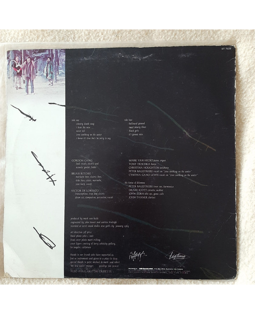Violent Femmes – Hallowed Ground - Tron Records | Vinyl LP - Winston ...
